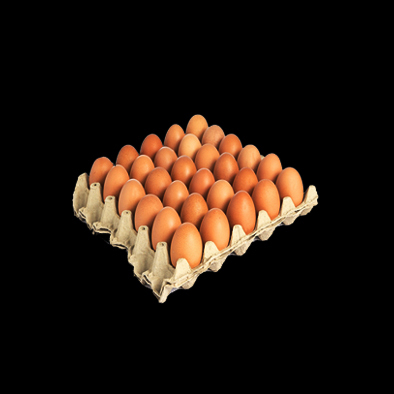 Cubeta de Huevos Extra Grande :: Quesos Manabiss